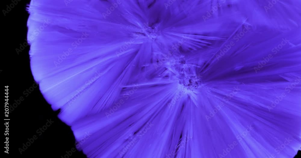 Vidéo Stock Crystals growth. The process of crystallization in ...