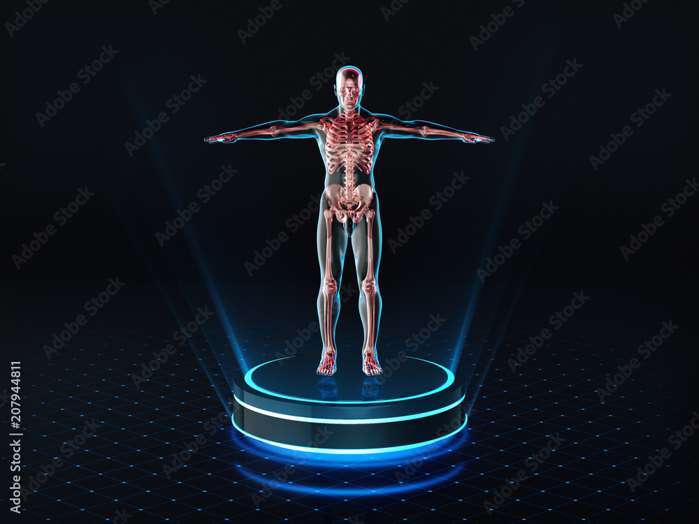 Hologram Man anatomy and skeleton on pedestal. ,3D rendering Stock ...
