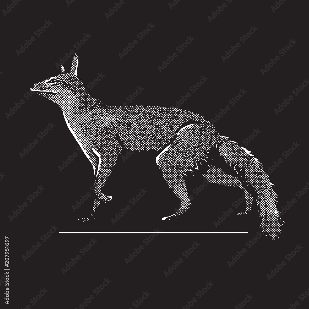 Walking fox in graphic engraving isolated on black background. Vector ...