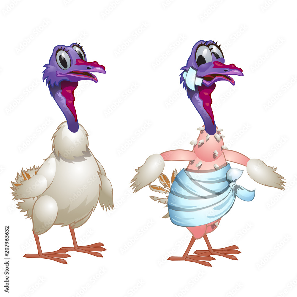 Healthy and diseased gobbler isolated on white background. Vector ...