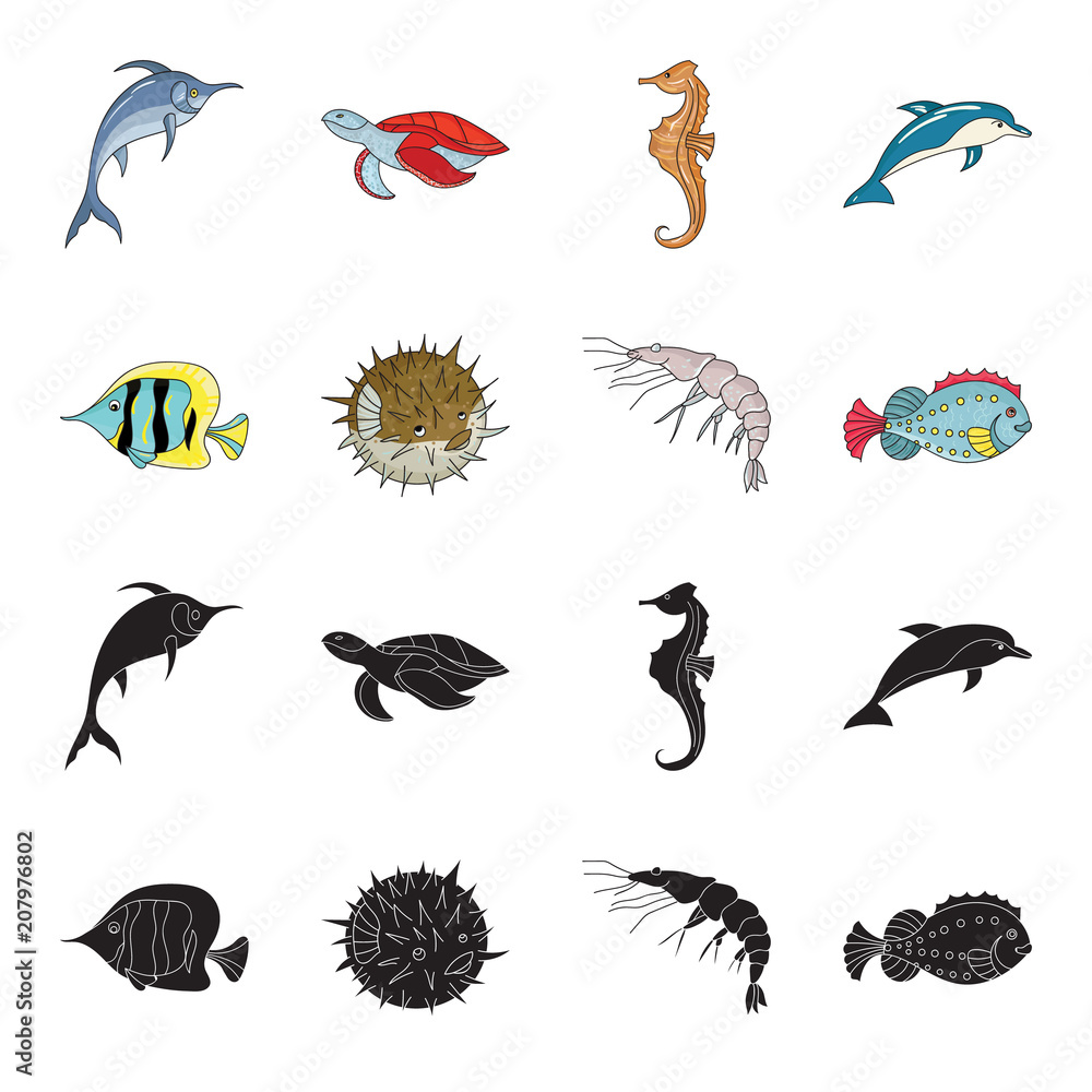 Shrimp, fish, hedgehog and other species.Sea animals set collection ...