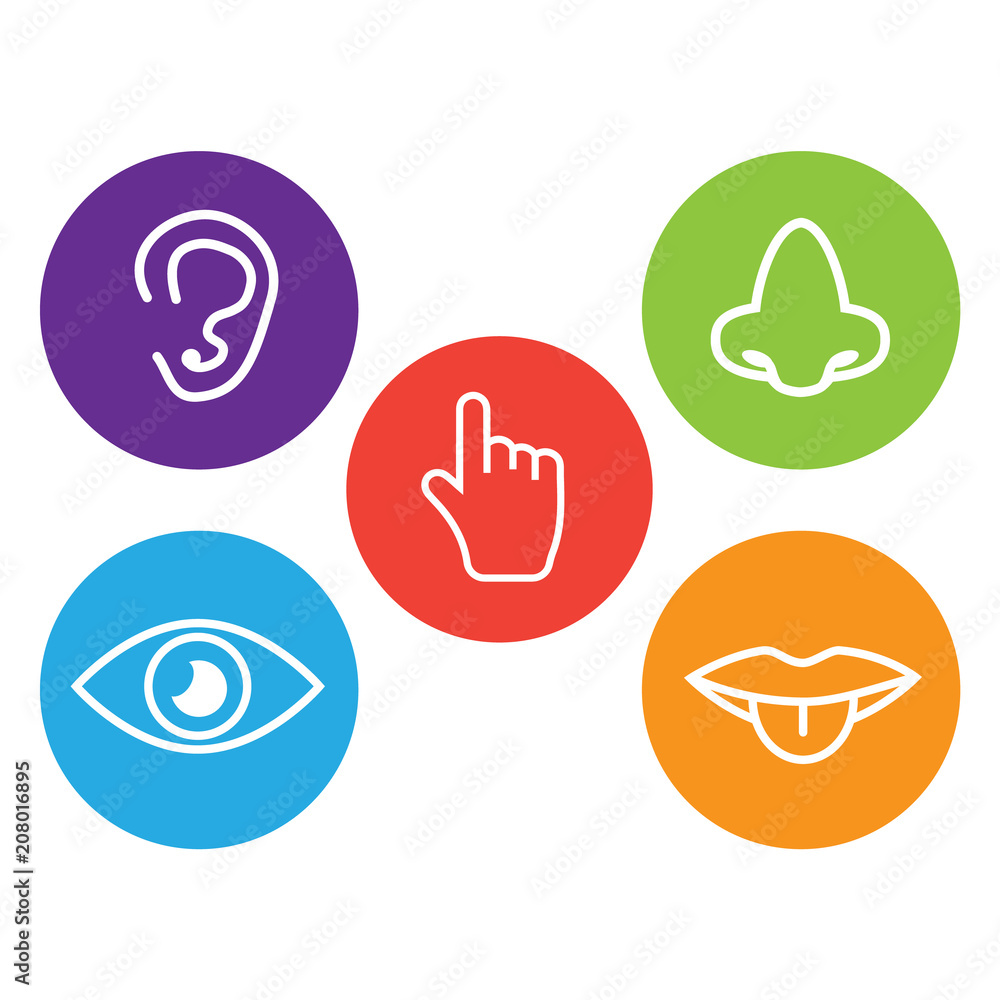 Five senses icon. Sets of icons representing the five senses Stock ...