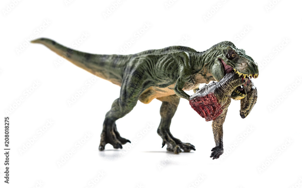 tyrannosaurus biting a dinosaur body with blood on white background ...
