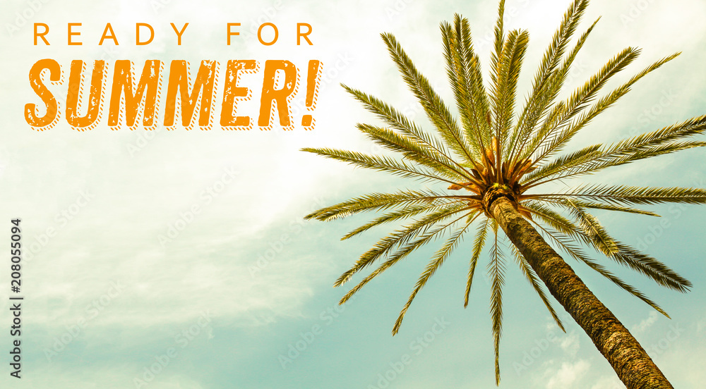 Ready for Summer text and Palm Tree against sunny clear sky panoramic ...