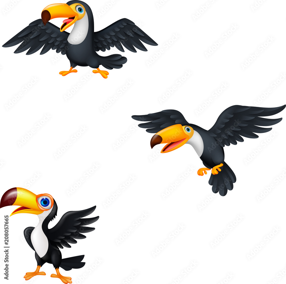 Cartoon toucan collection set Stock Vector | Adobe Stock
