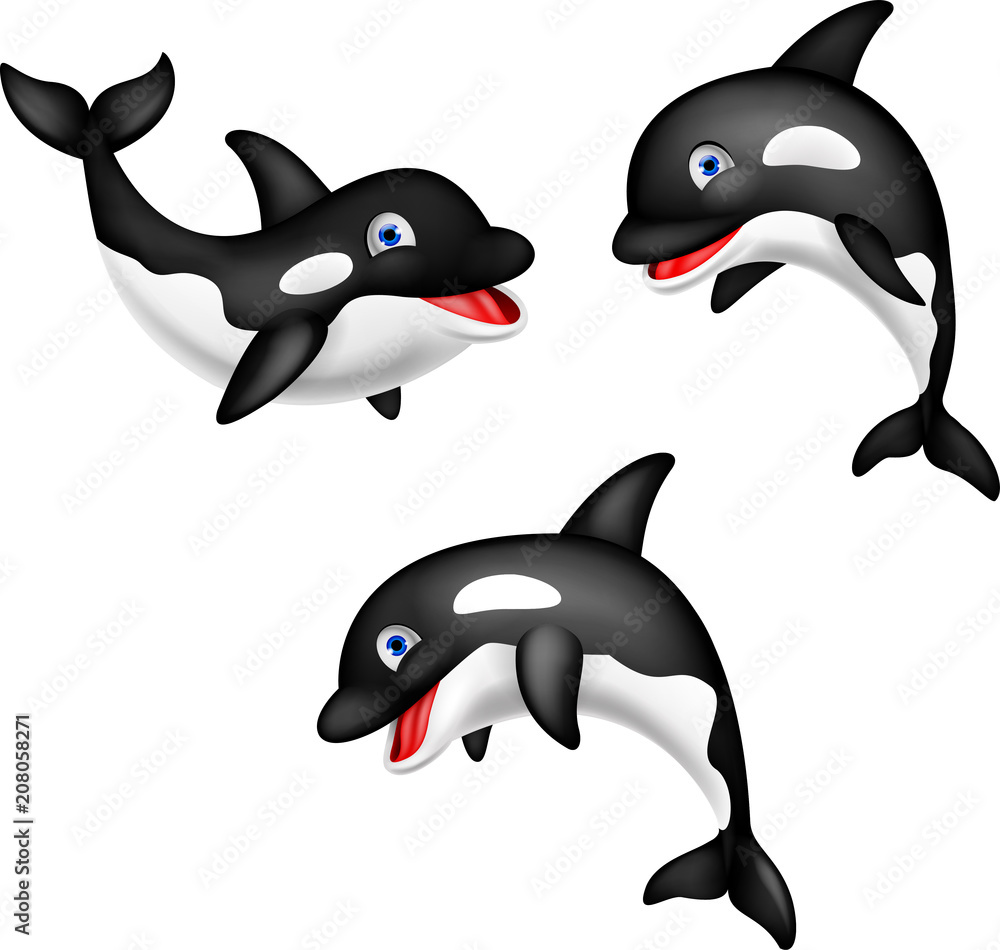 Cartoon orca collection set Stock Vector | Adobe Stock