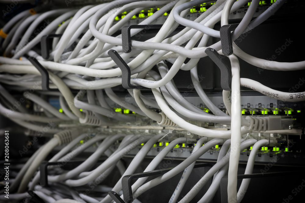 RJ45 connector inserted in the switch panel Stock Photo | Adobe Stock