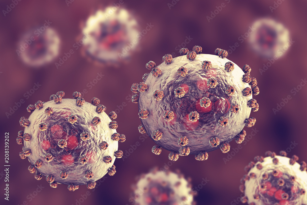 Lassa fever viruses, 3D illustration. RNA-viruses from Arenaviridae ...
