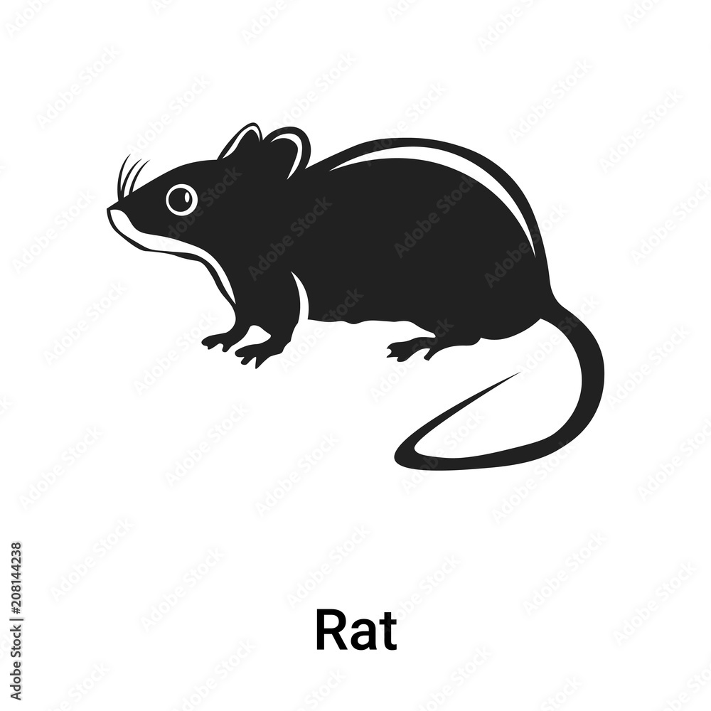 Rat icon vector sign and symbol isolated on white background, Rat logo ...
