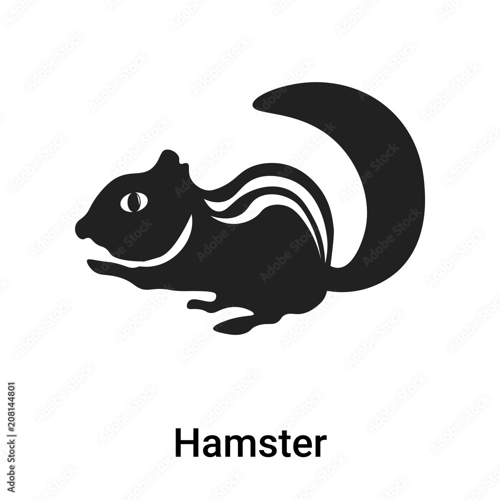 Hamster icon vector sign and symbol isolated on white background ...
