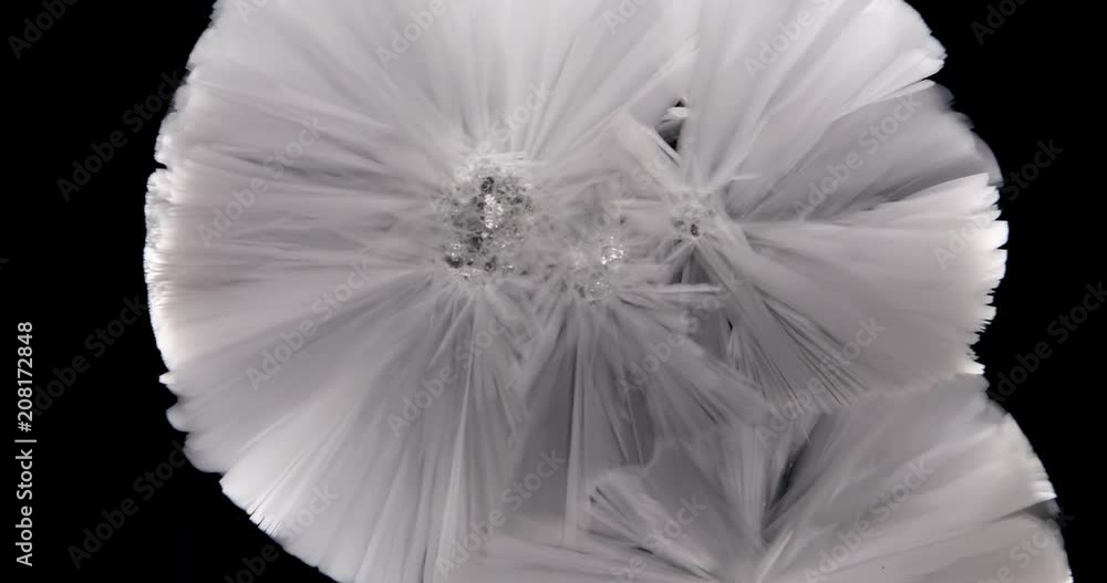 Crystals growth. The process of crystallization in supersaturated ...