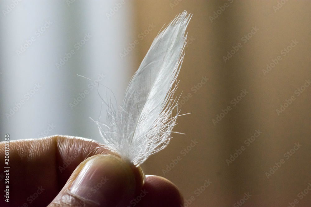 Horizontal full lenght close up photo of a fingers holding a white ...