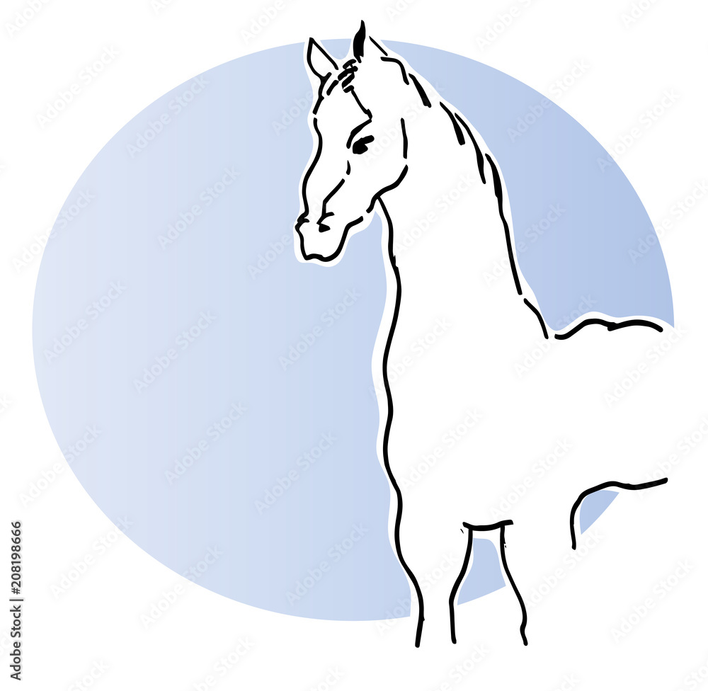White horse. vector illustration of standing white horse with blue ...