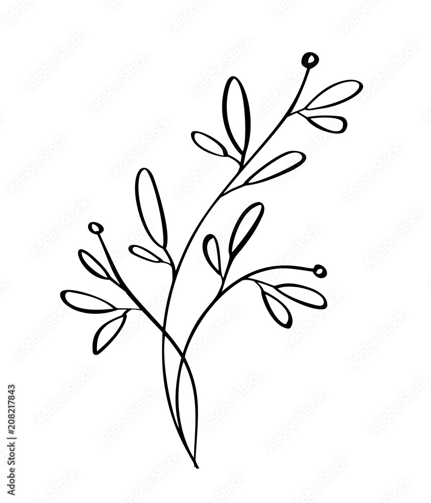Hand drawn modern flowers drawing and sketch floral with line-art ...
