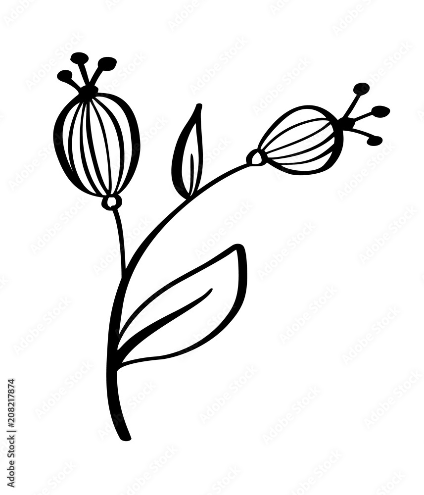 Hand drawn modern flowers drawing and sketch floral with line-art ...