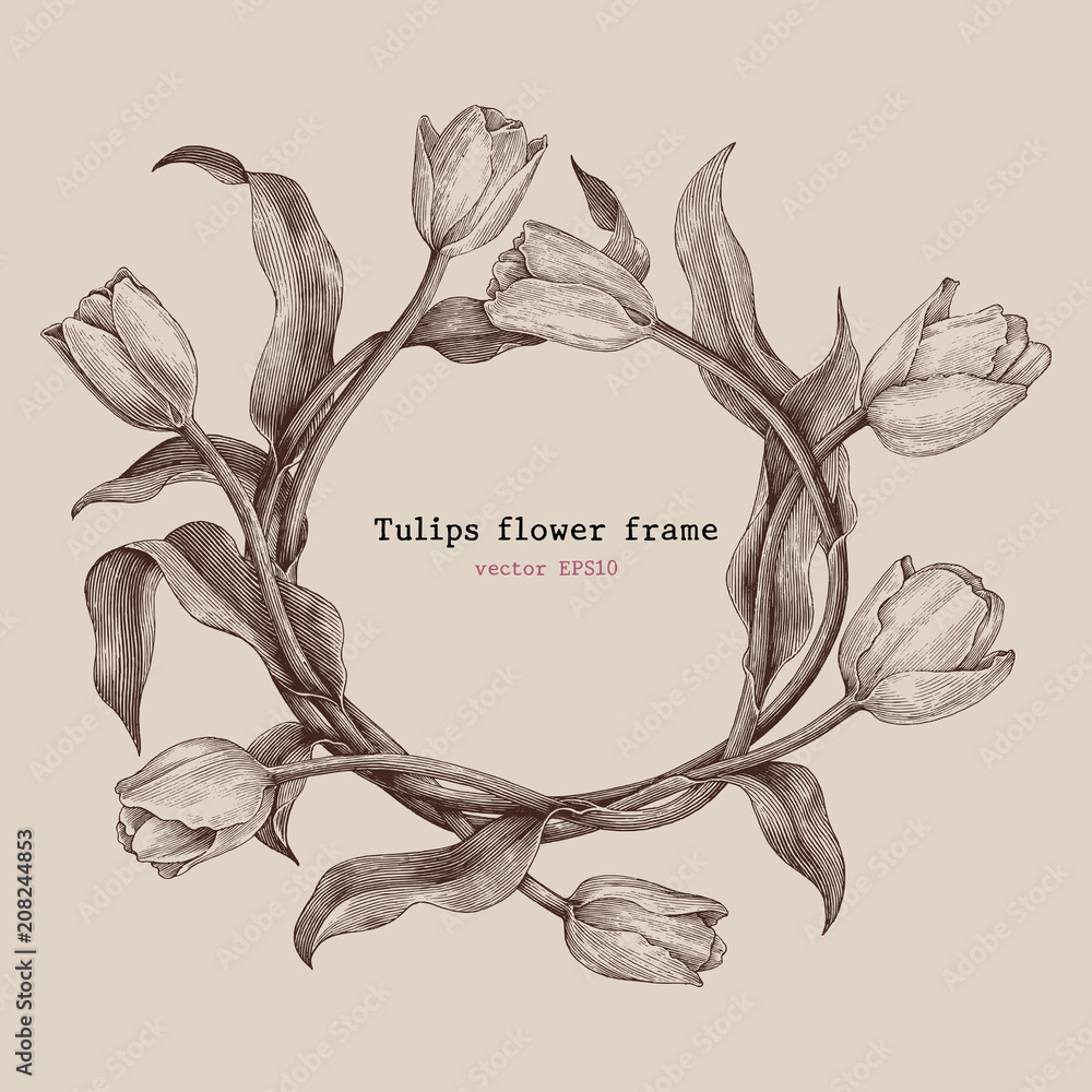Tulips frame hand drawing vintage clip art Stock Vector | Adobe Stock