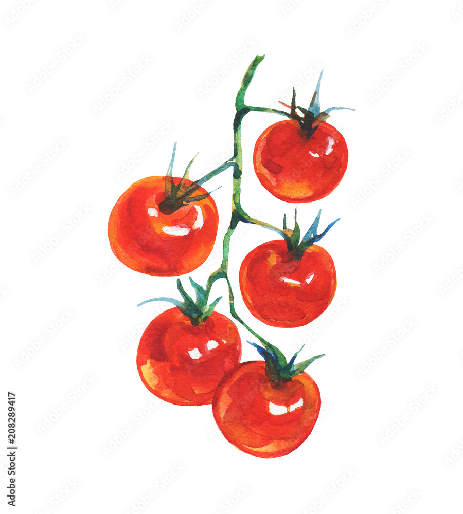Tomato Painting