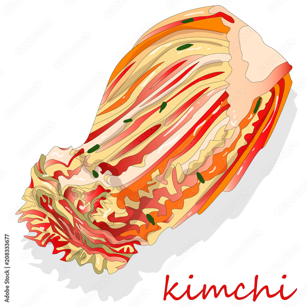 Kimchi, traditional korean food. Illustration on white isolated. Stock ...