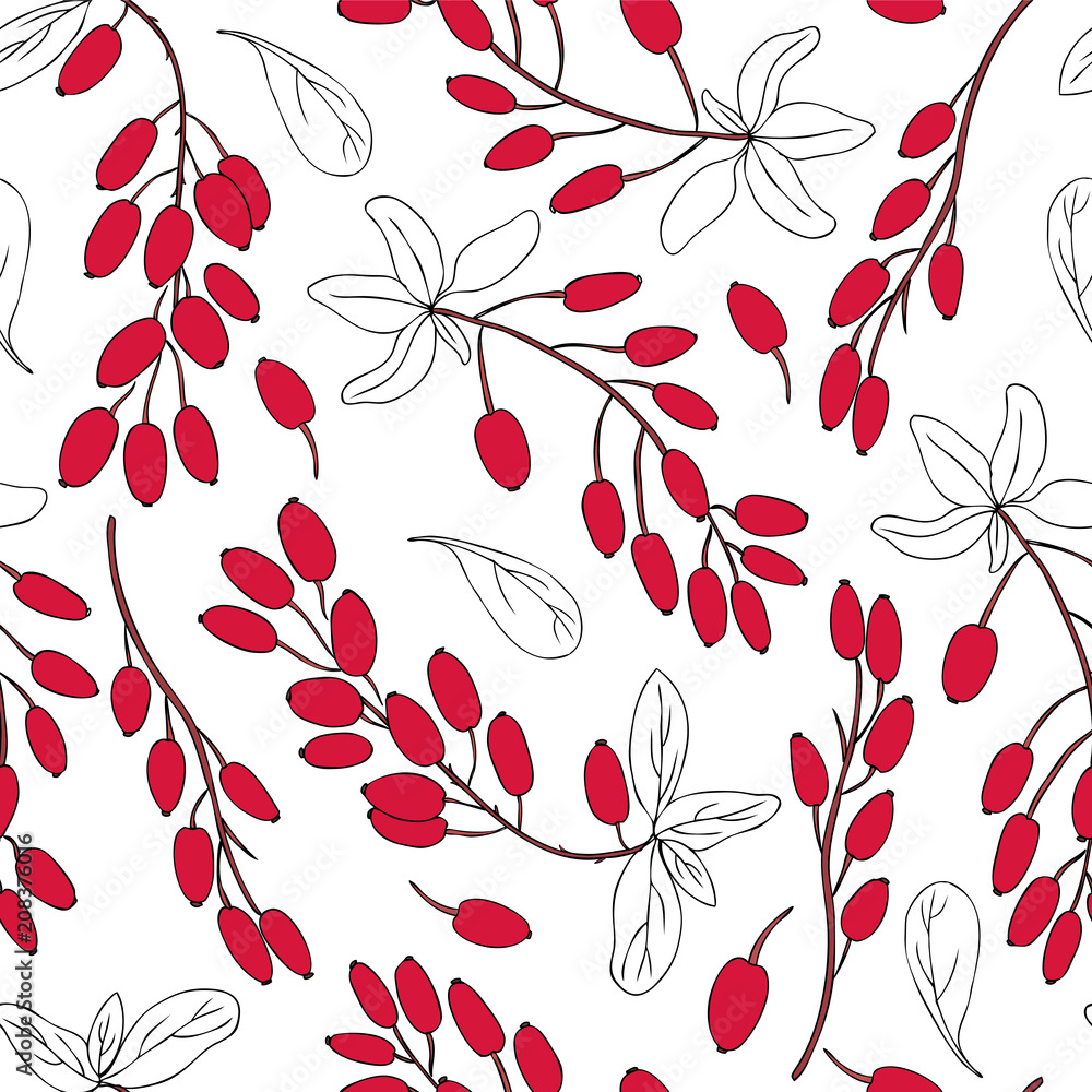 Seamless pattern, Barberry hand drawn branch vector isolated on white ...