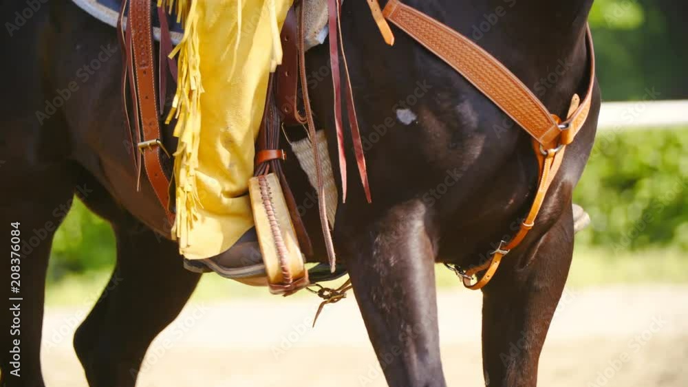 Cowboy leg in the stirrup close-up 4K. Long shot slow motion of horse ...