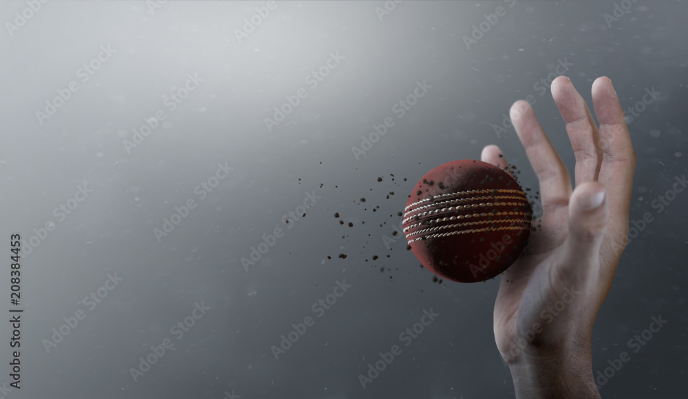 Cricket Ball In Flight Stock Illustration | Adobe Stock