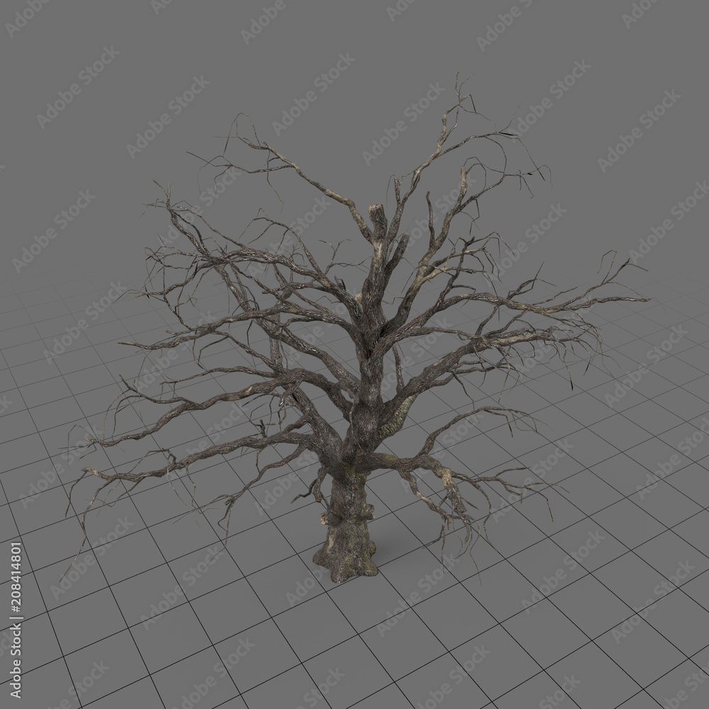 Dead tree Stock 3D asset | Adobe Stock