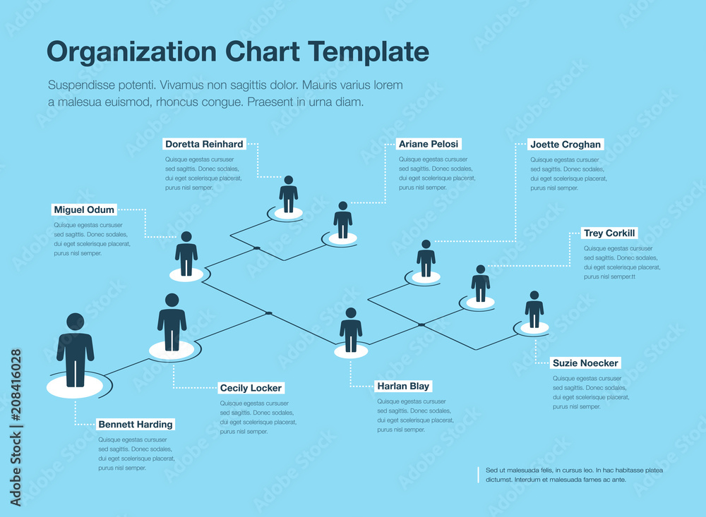 Simple blue and white company organization hierarchy chart template ...