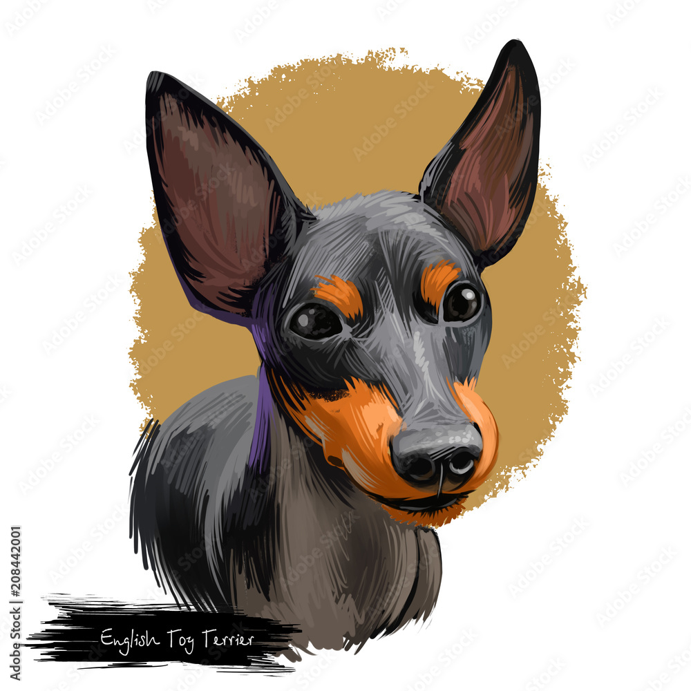 English Toy Terrier, Black and tan dog digital art illustration ...