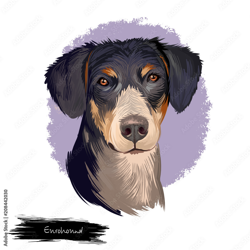 Eurohound, Eurodog, Scandinavian hound dog digital art illustration ...