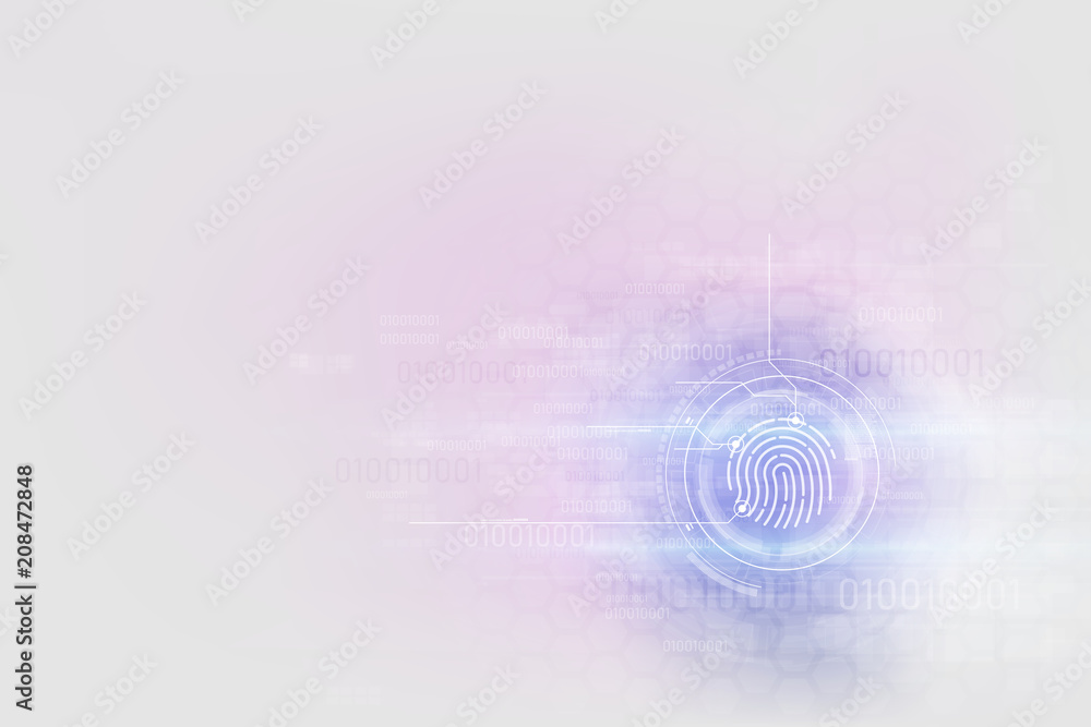 Fingerprints included in the printed circuit and released binary code ...