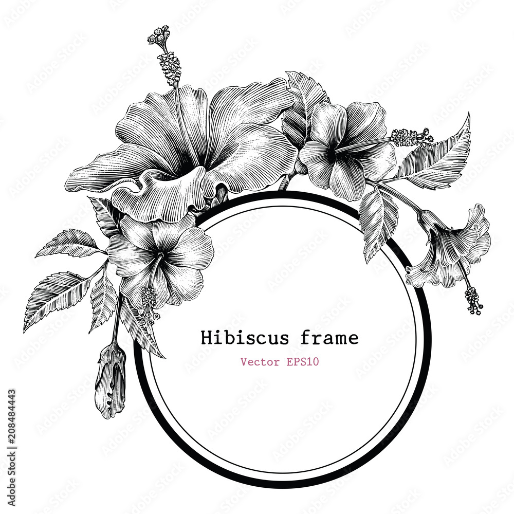 Vintage Flower Frame Clipart | Best Flower Site