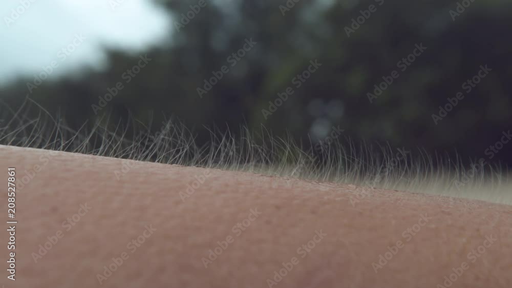 CLOSE UP, MACRO, DOF: Unrecognizable person's raised arm hair moves in ...
