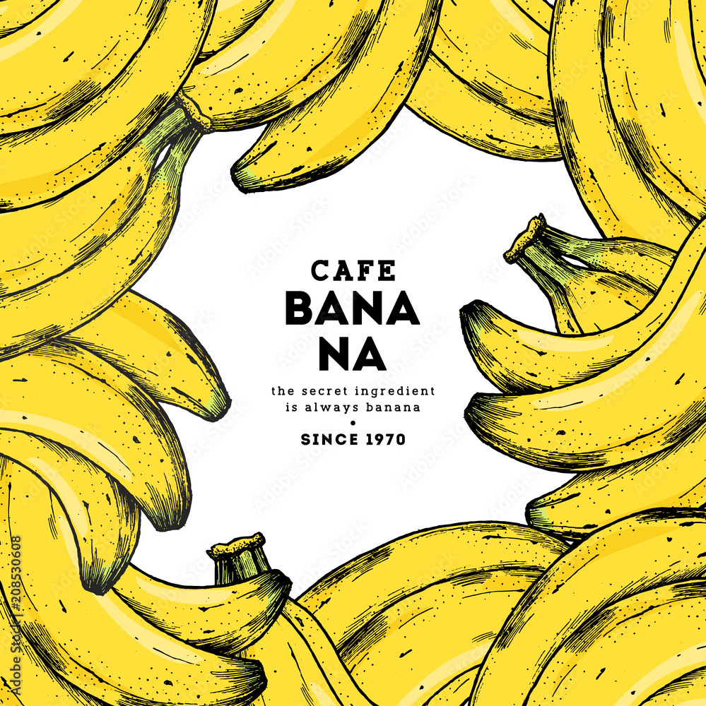 Tropical banana frame design template. Banana botanical illustration ...