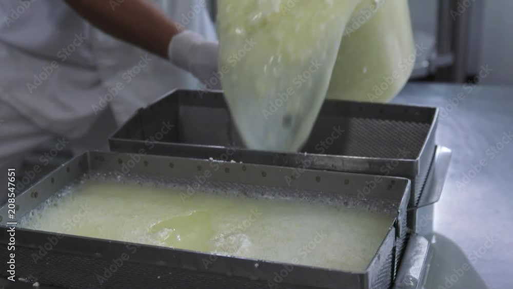 Factory curd making process. Caucasian adult man farmworker in white ...