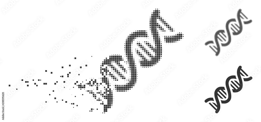 Gray vector DNA spiral icon in dissolved, pixelated halftone and ...