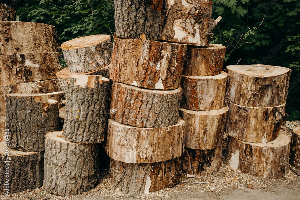 Wooden natural sawn logs closeup, texture background. Cross section of ...