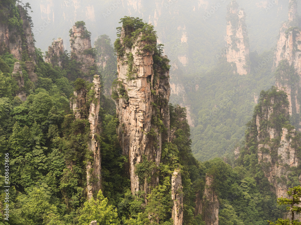 Tianzi Mountain column karst at Wulingyuan Scenic Area, Zhangjiajie ...