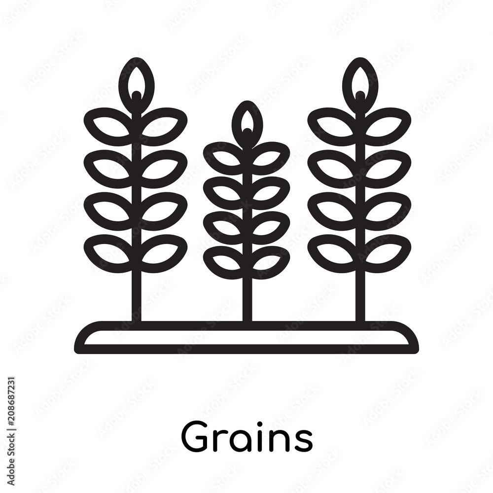 Grains icon vector sign and symbol isolated on white background, Grains ...