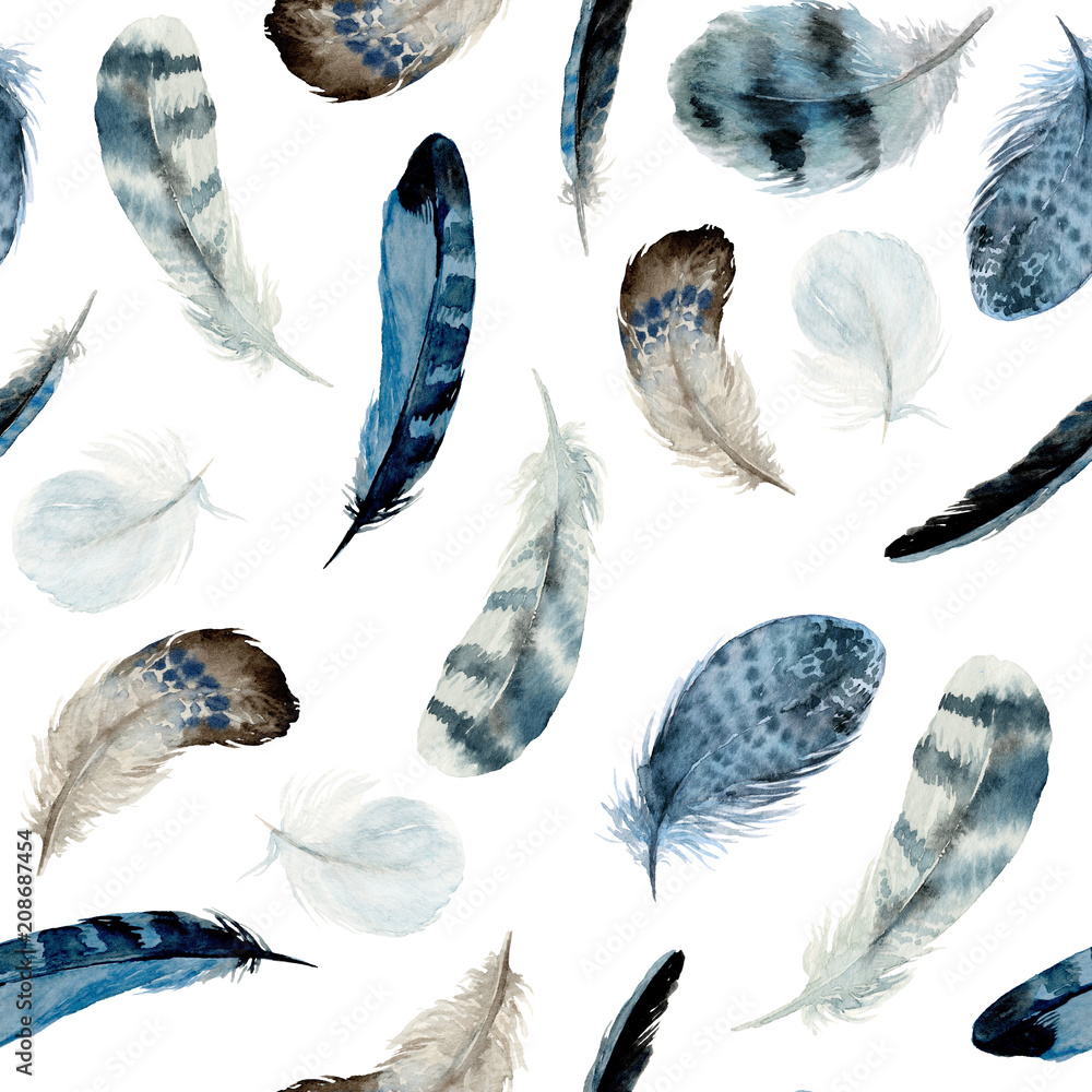Indian Feathers Background