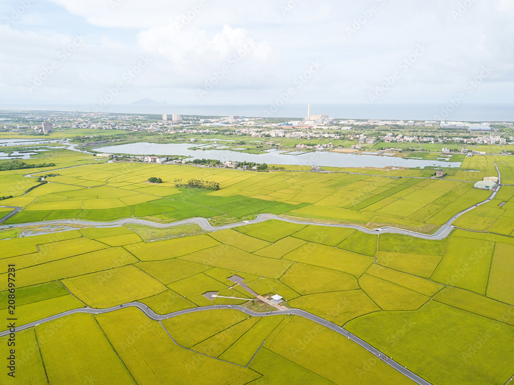 Aerial view of the green and yellow rice field, grew in different ...