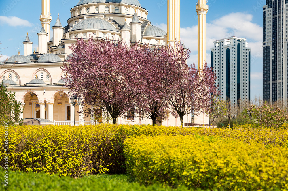 Mosque "Heart of Chechnya". Administrative and society buildings in the ...