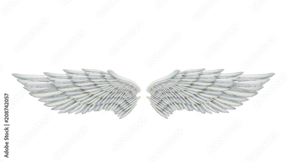 Angel Wings. Looped. Alpha Channel Included. Stock Video | Adobe Stock