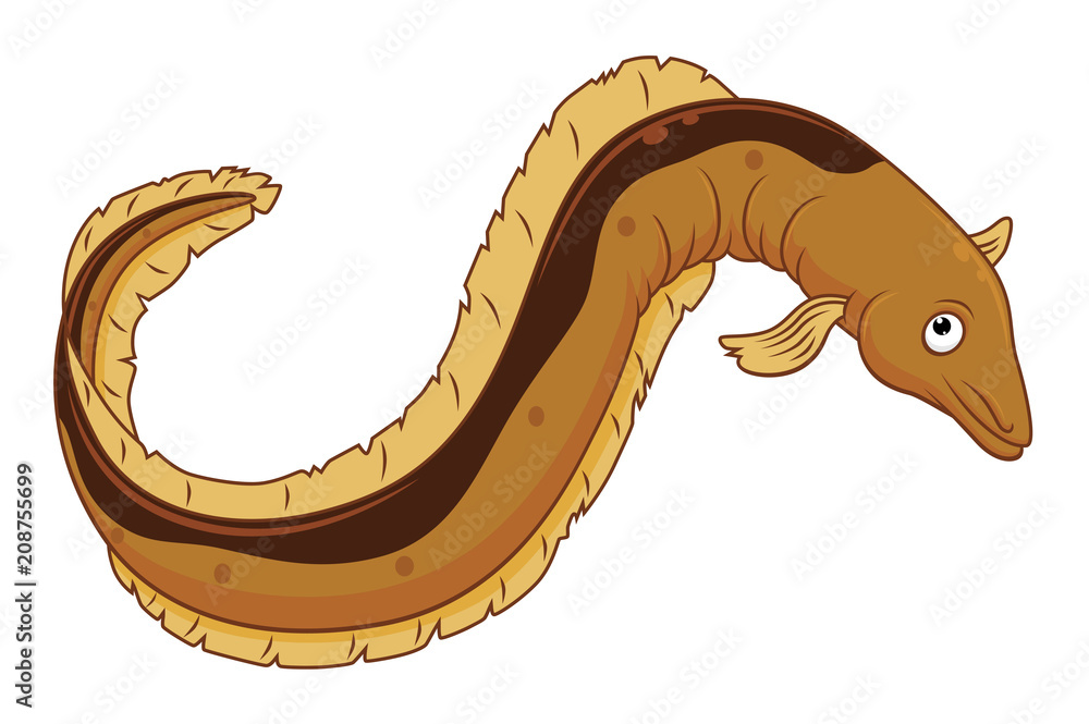 Cartoon eel fish Stock Vector | Adobe Stock
