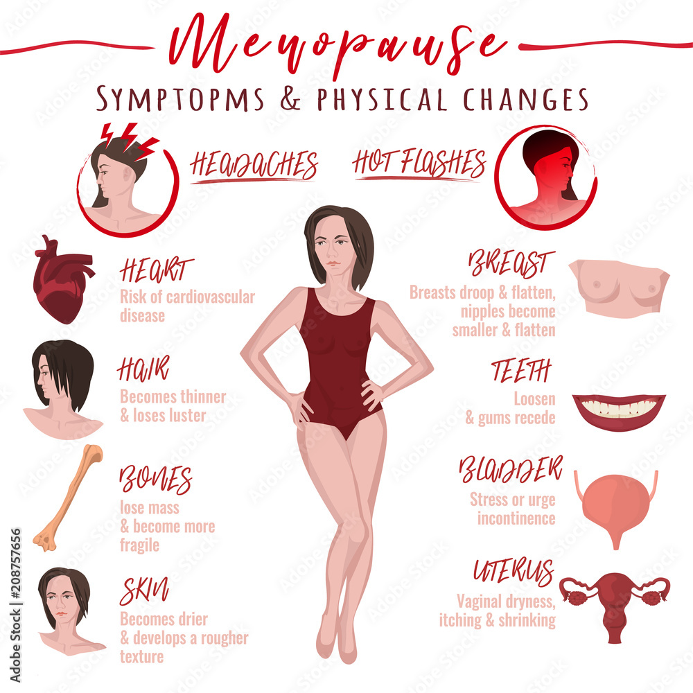 Menopause symptoms and physical changes Stock Vector | Adobe Stock