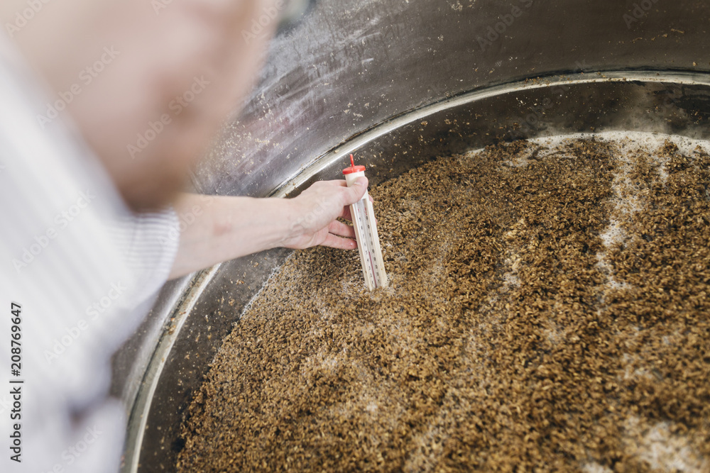 Brewery worker checking temperature of beer Stock Photo | Adobe Stock