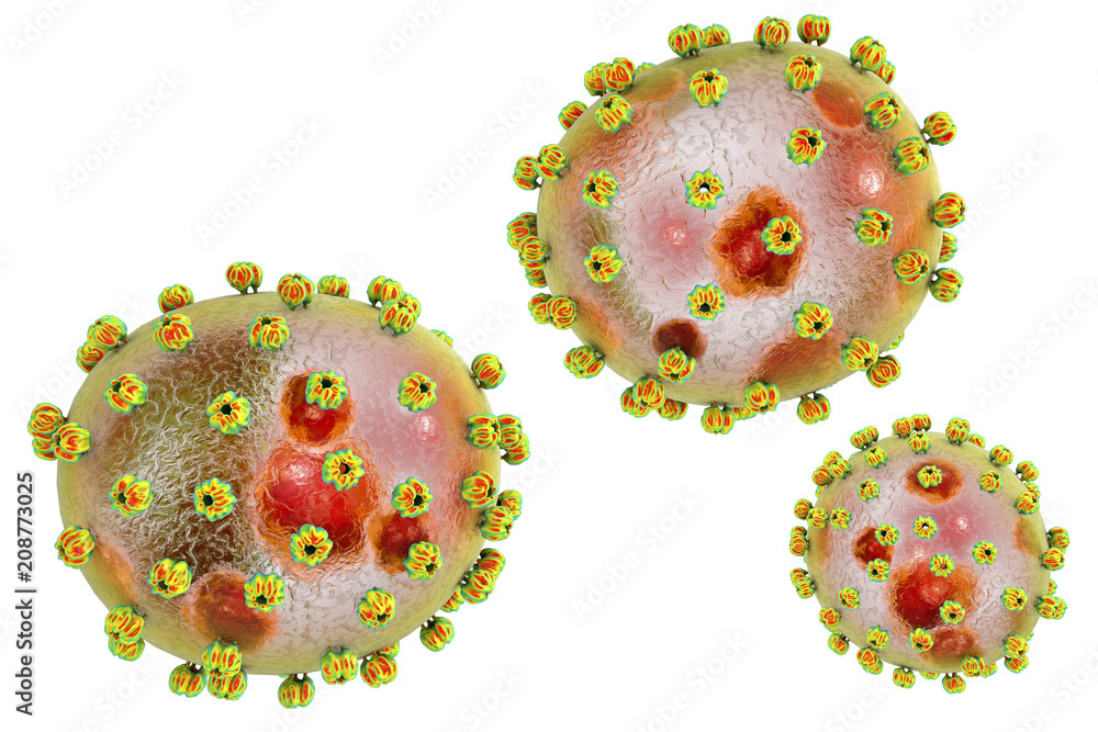 Lassa fever viruses, 3D illustration. RNA-viruses from Arenaviridae ...