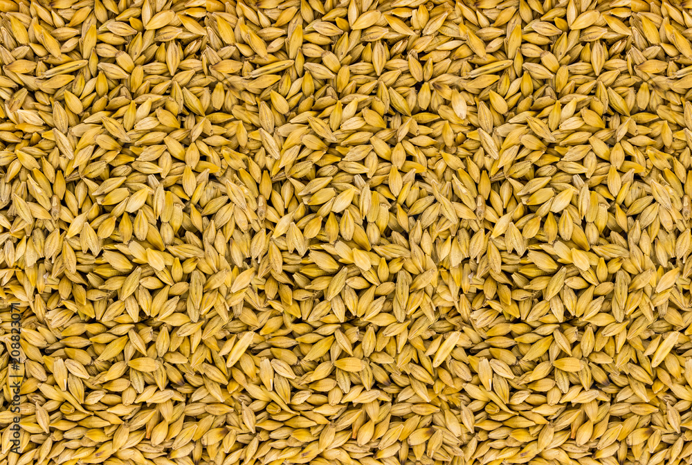 brewing ingredient for making malt rye many seeds base design substrate ...