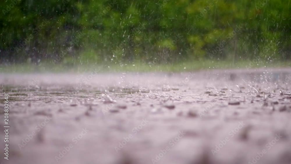close-up, large, heavy drops of rain, rainfall, shower, fall with a ...