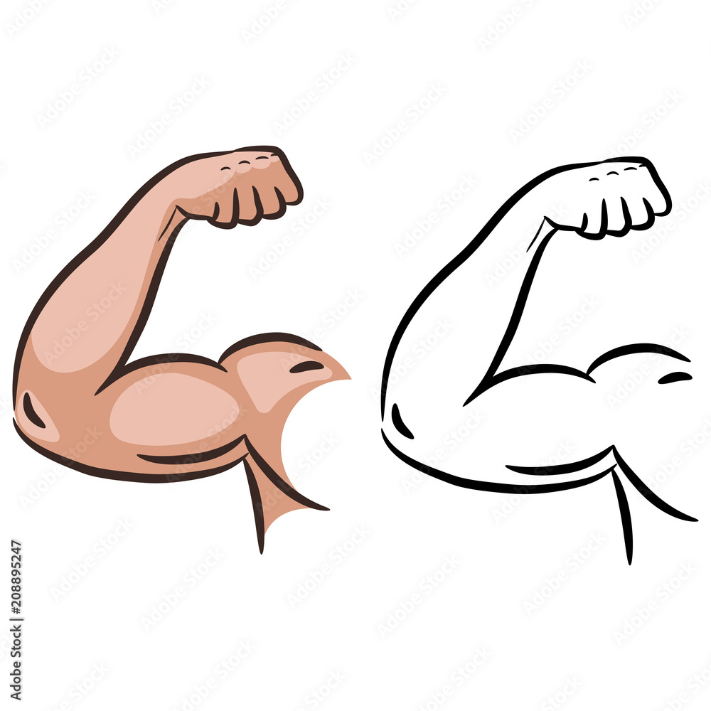 Woman Muscle Arm Vector