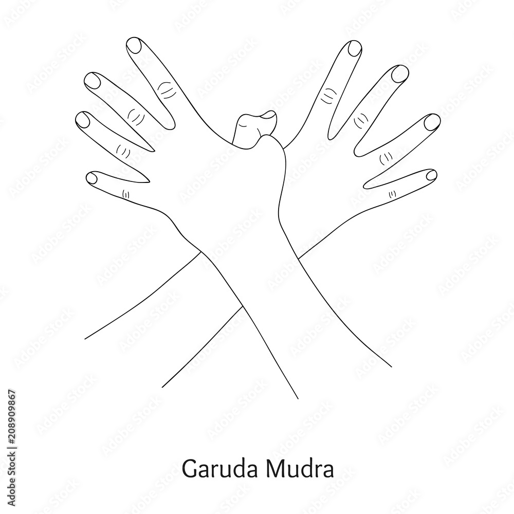Garuda Mudra / Gesture of Eagle. Vector. Stock Vector | Adobe Stock